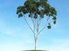Archmodels vol 106 - Realistic Tress Collection 3D model | CGTrader
