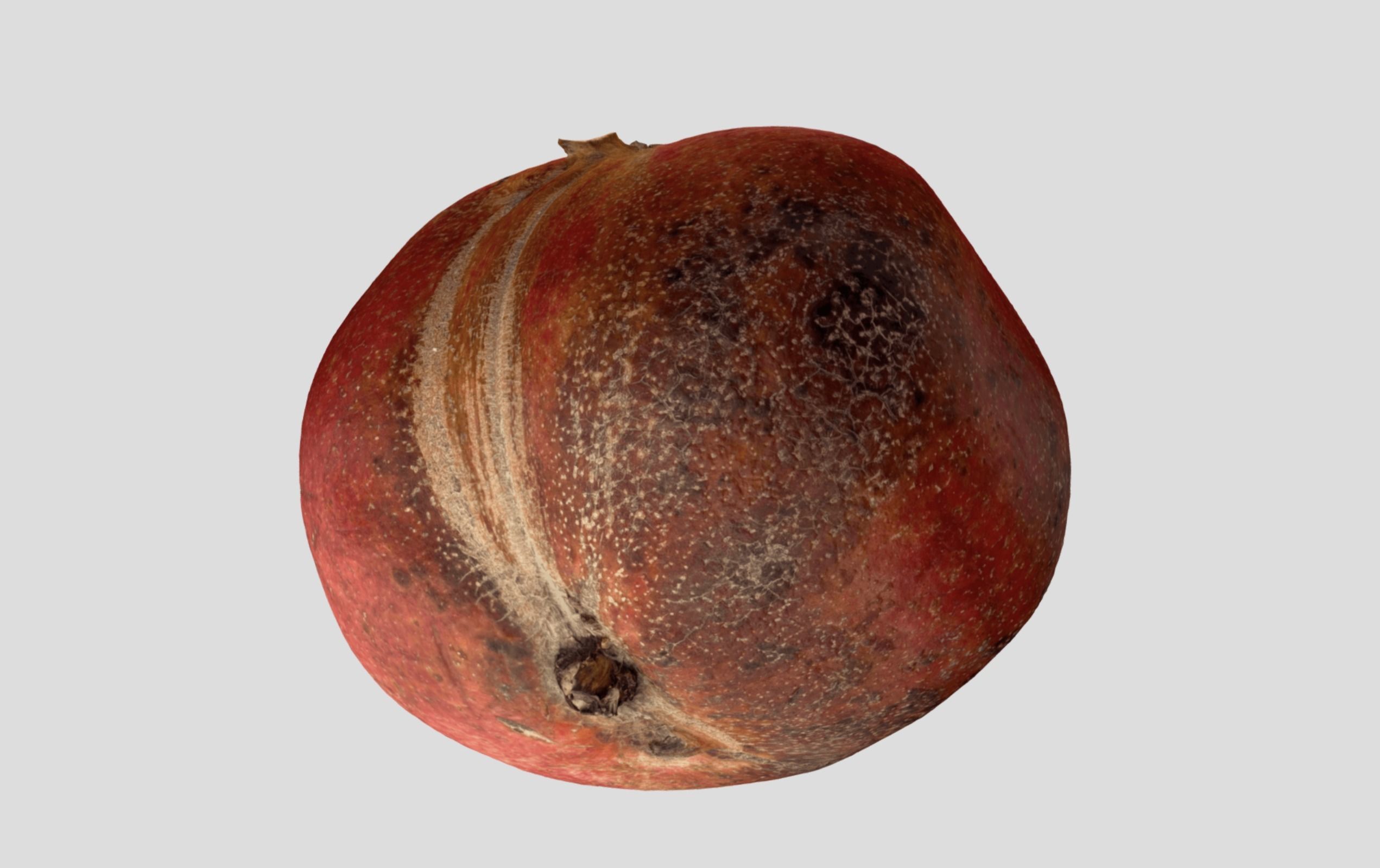 Pomegranate Fruit - HD Scan 3D model | CGTrader