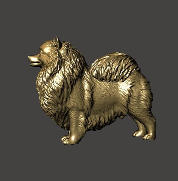 Pomeranian Dog - Pom Pom 3D model 3D printable | CGTrader