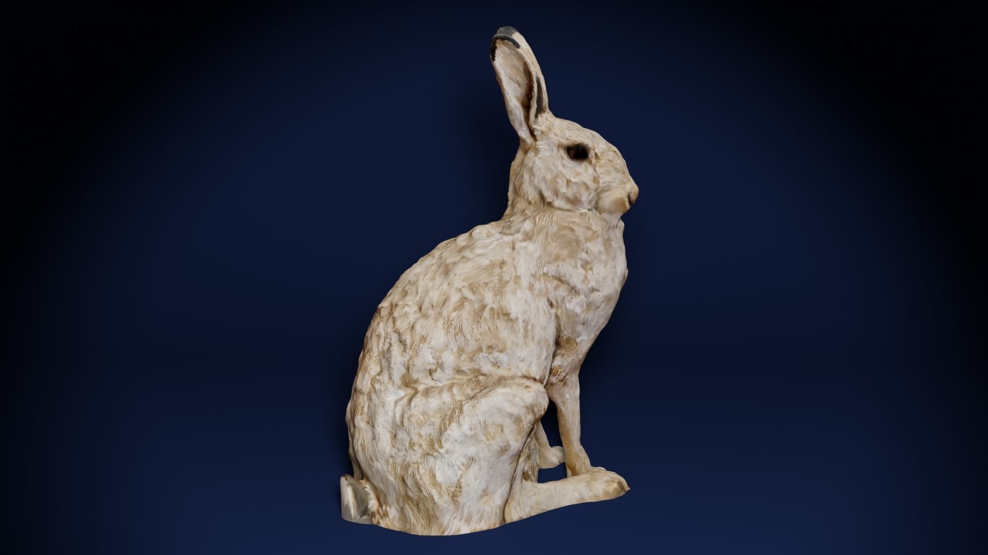3D model Realistic Hare Statue VR / AR / low-poly | CGTrader