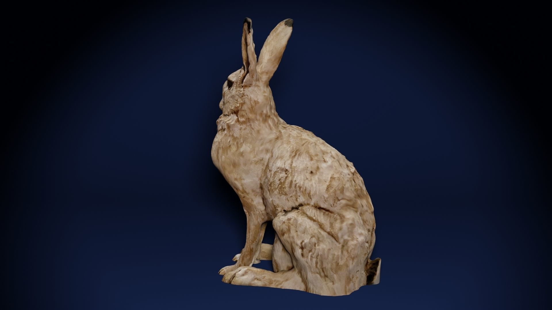 3D model Realistic Hare Statue VR / AR / low-poly | CGTrader