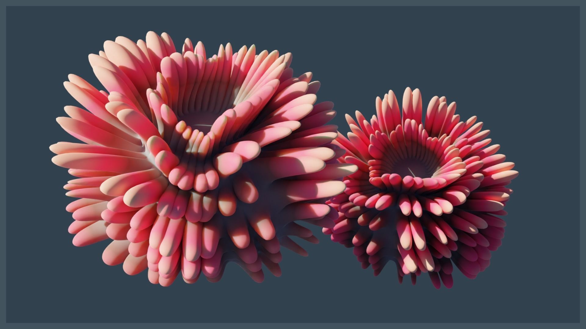 3D model Lowpoly Anemones Pack VR / AR / low-poly | CGTrader