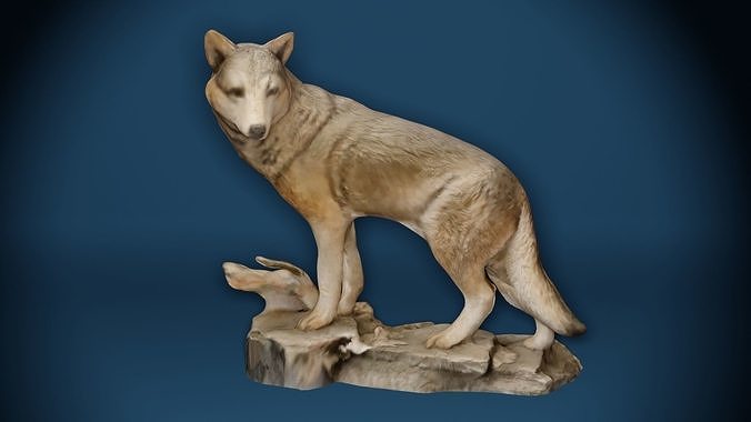 Huge Grey Wolf