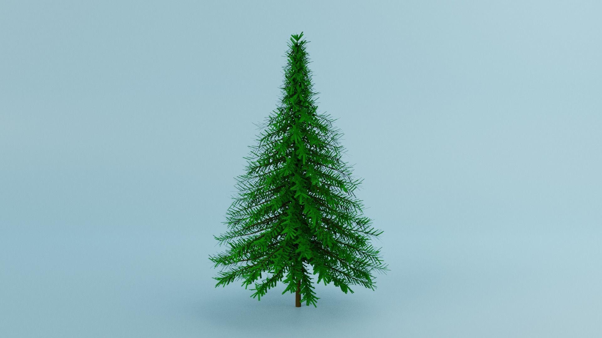 3D model Pine Tree VR / AR / low-poly | CGTrader