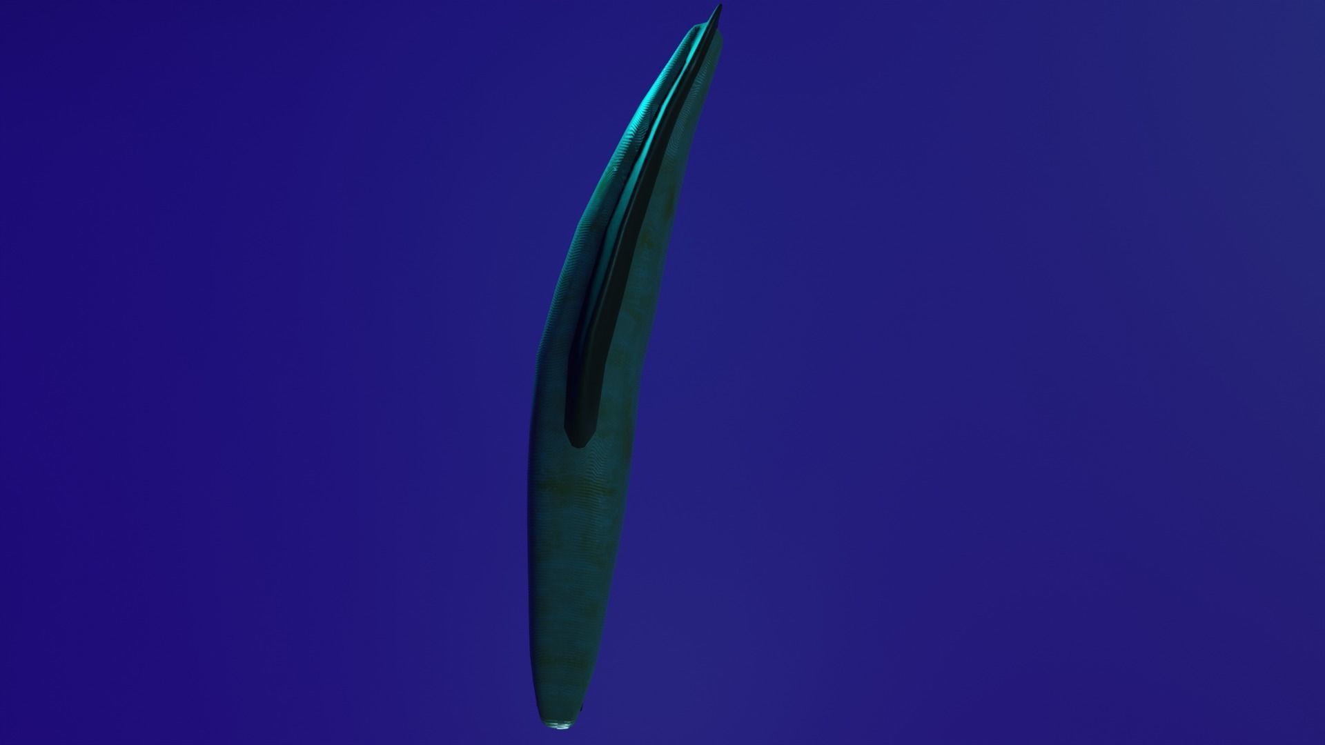 Haikouichthys Extinct Cambrian Fish free VR / AR / low-poly 3D model ...