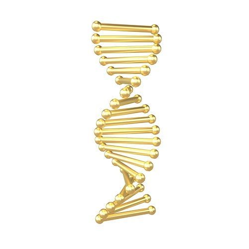 3D model Cartoon DNA Molecule v2 010 VR / AR / low-poly | CGTrader