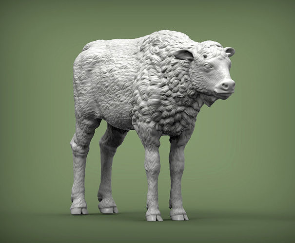 bison calf 3D model 3D printable | CGTrader