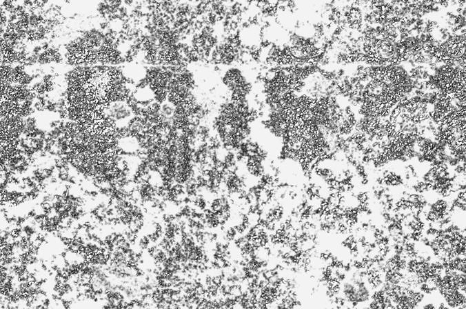 Interior Texture Set 1 free Texture | CGTrader