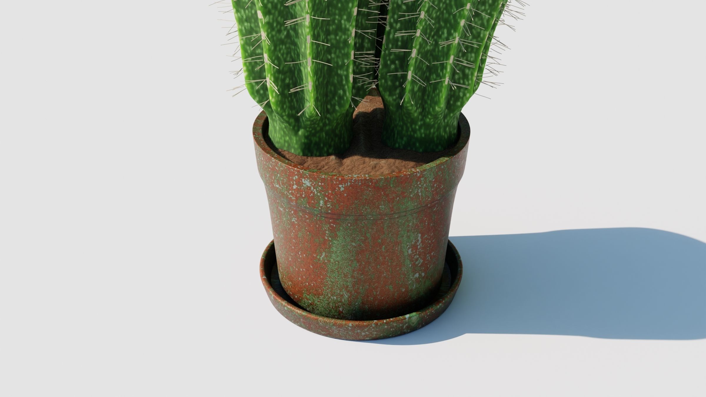 Potted Cactus Plant 3D model | CGTrader
