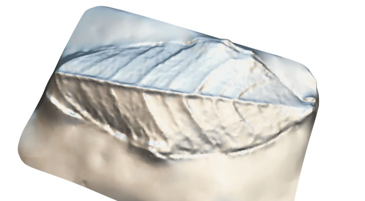 Green Leaf 1 3D Scan 3D model | CGTrader