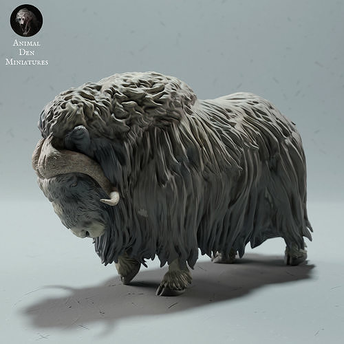 Musk Ox 3D model 3D printable | CGTrader