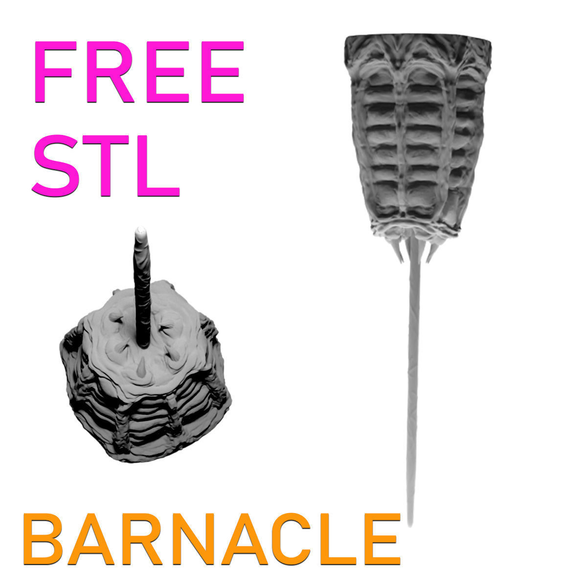 Barnacle Half-Life 1 version STL free 3D model 3D printable | CGTrader