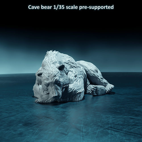 Sleeping Bear In Cave