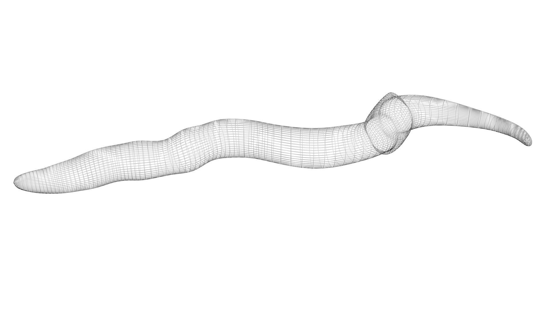 Worms Set 3D model | CGTrader