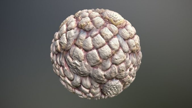 Material Skin Monster 47 Seamless PBR Texture Texture | CGTrader