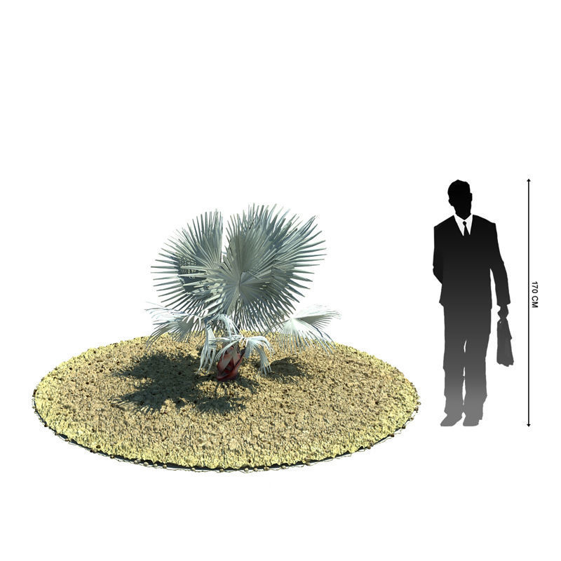 Archmodels vol 85 - Tropical Trees Collection 3D model | CGTrader