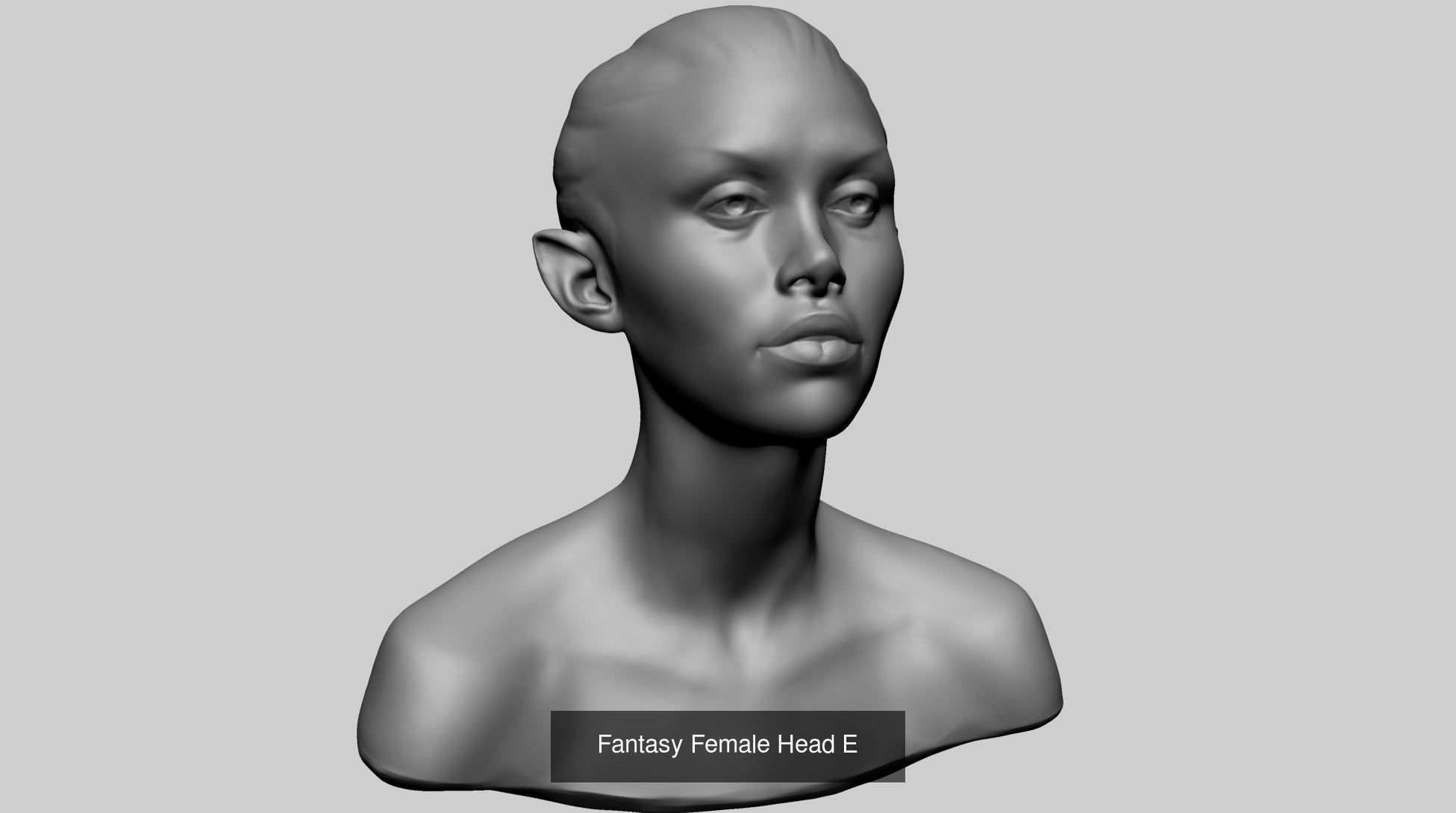 Female Anatomy Models A 3D Model Collection | CGTrader