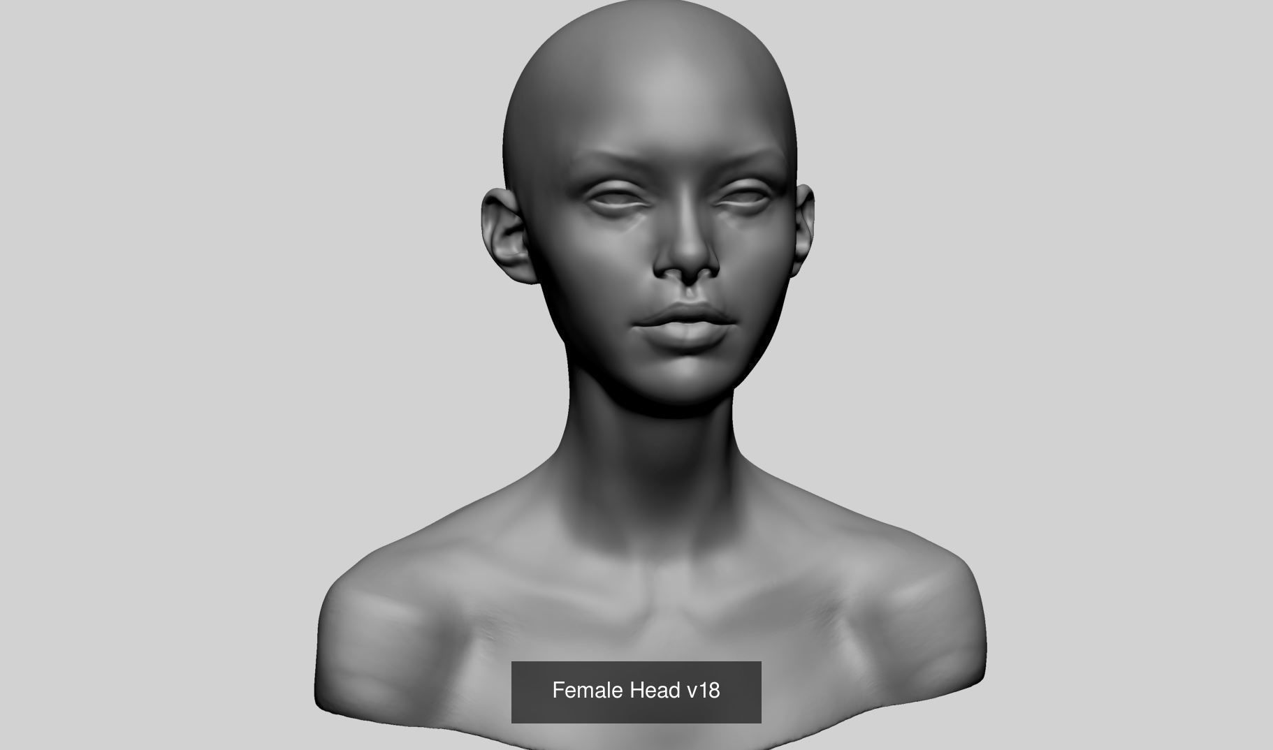 Female Anatomy Models A 3D Model Collection | CGTrader
