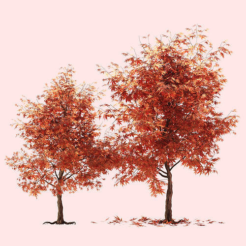 mapletree01 two maple trees 3D model | CGTrader