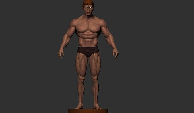 Arnold Schwarzenegger 3D model 3D model 3D printable | CGTrader