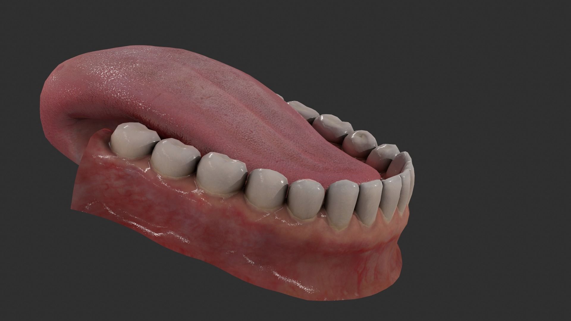 3D model Realistic Human Mouth VR / AR / low-poly | CGTrader