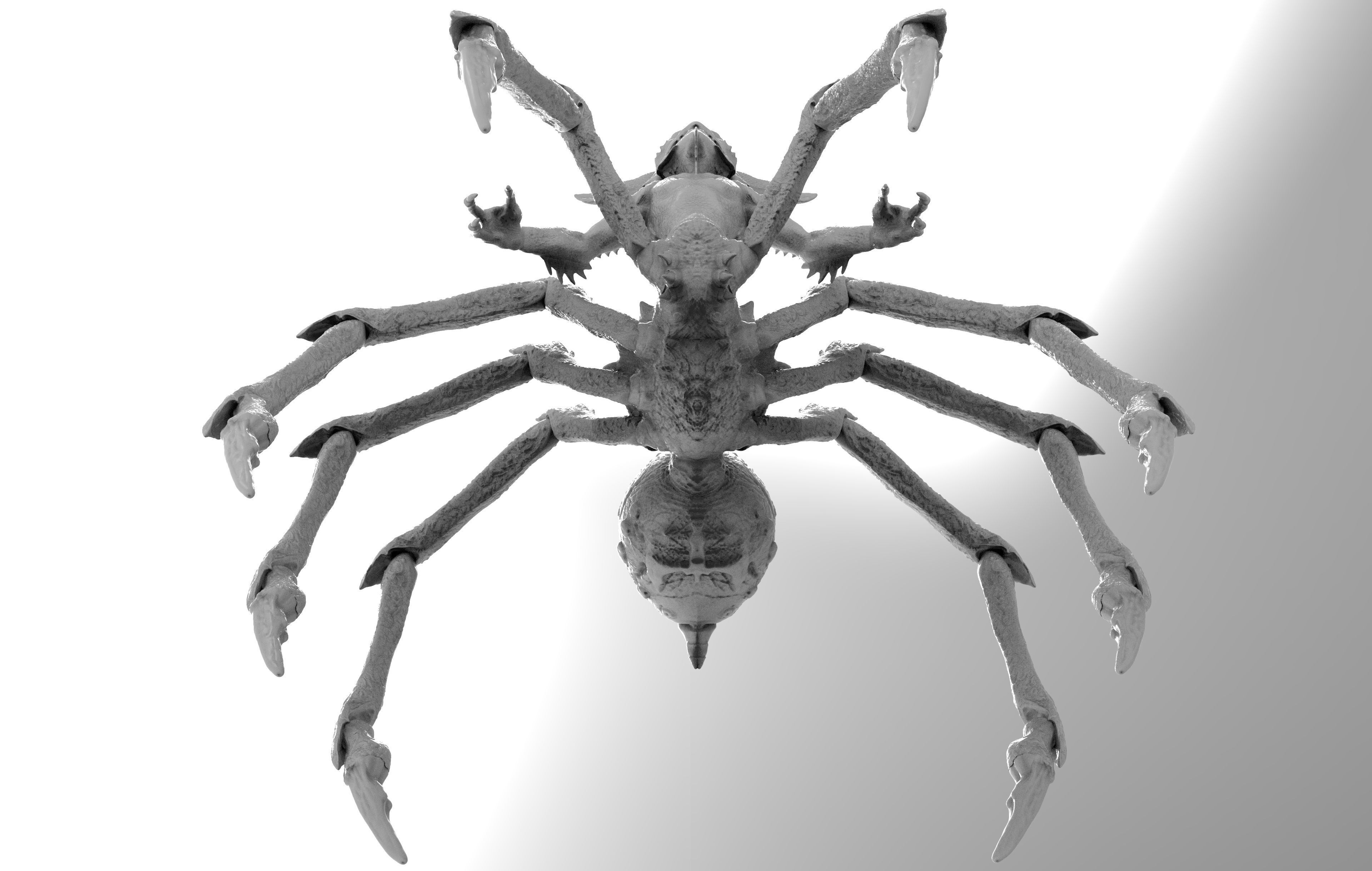 Mohawk Spider Gremlin 3D model 3D printable | CGTrader