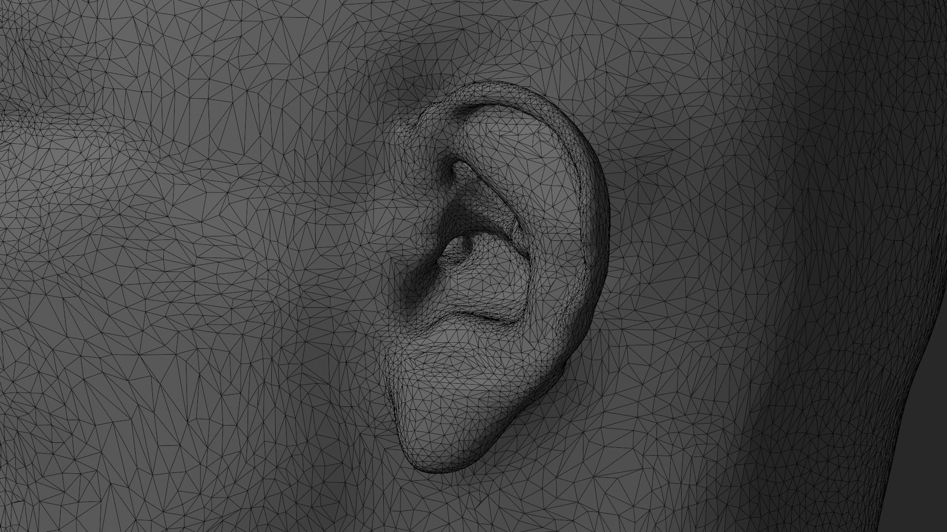 Human Male Head for 3D Printing 2022 free 3D model 3D printable | CGTrader