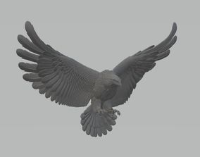Eagle 3D Models | CGTrader