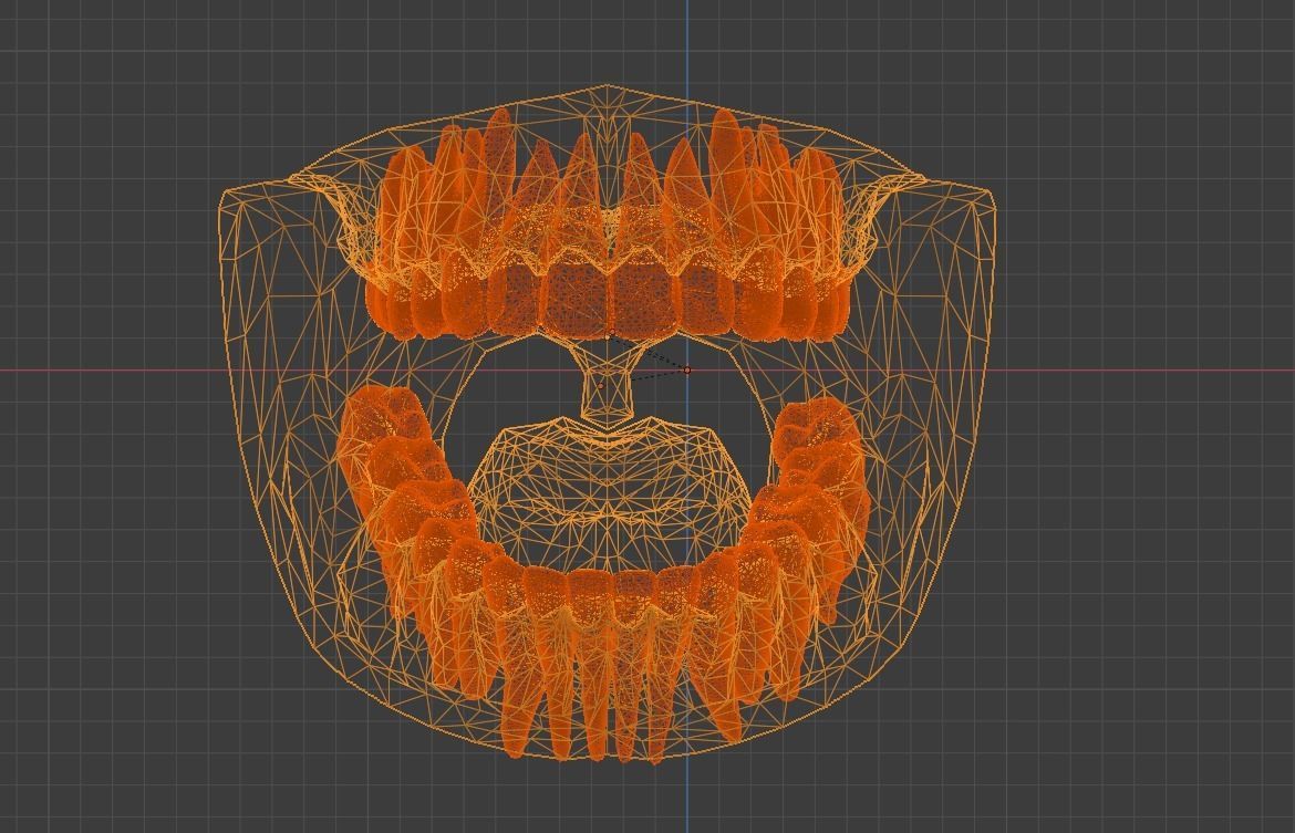 Highly Detailed Human Tooth 3D Model 3D model | CGTrader