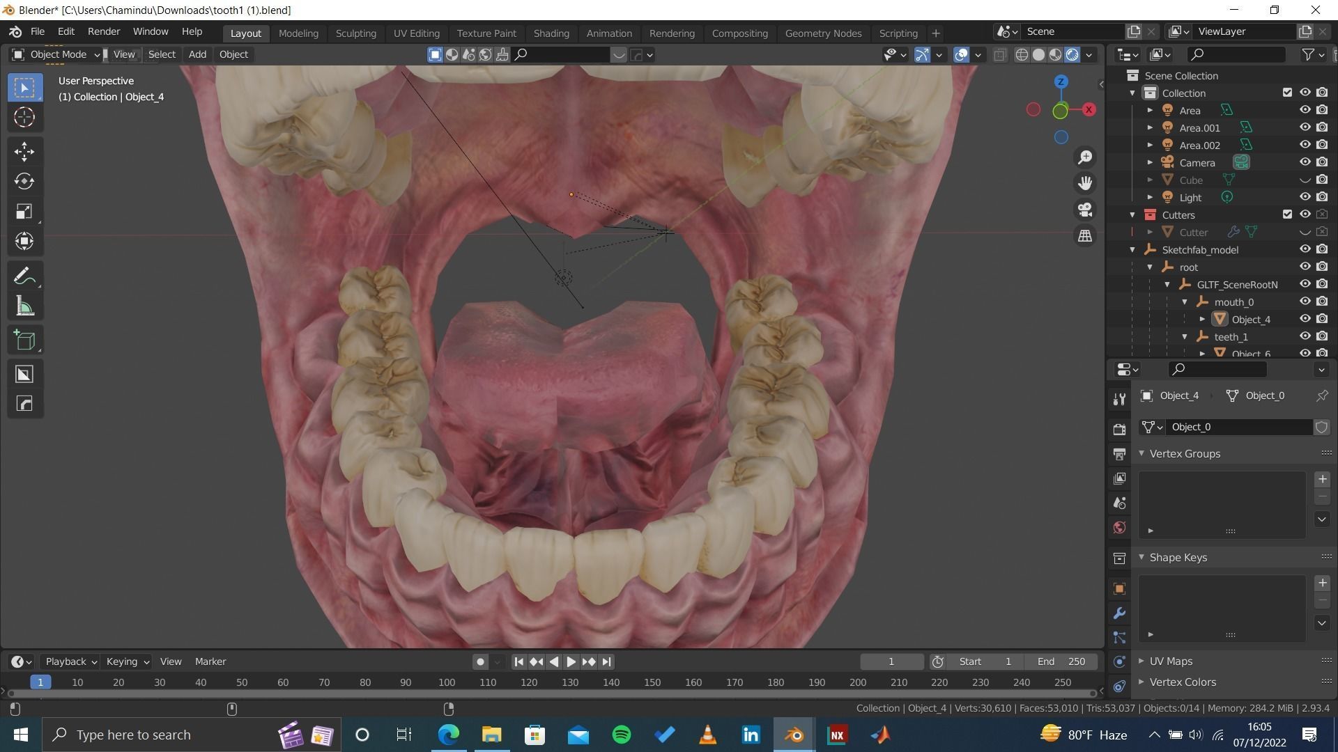 Highly Detailed Human Tooth 3D Model 3D model | CGTrader