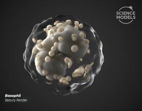 Animated Basophil 3D Models | CGTrader