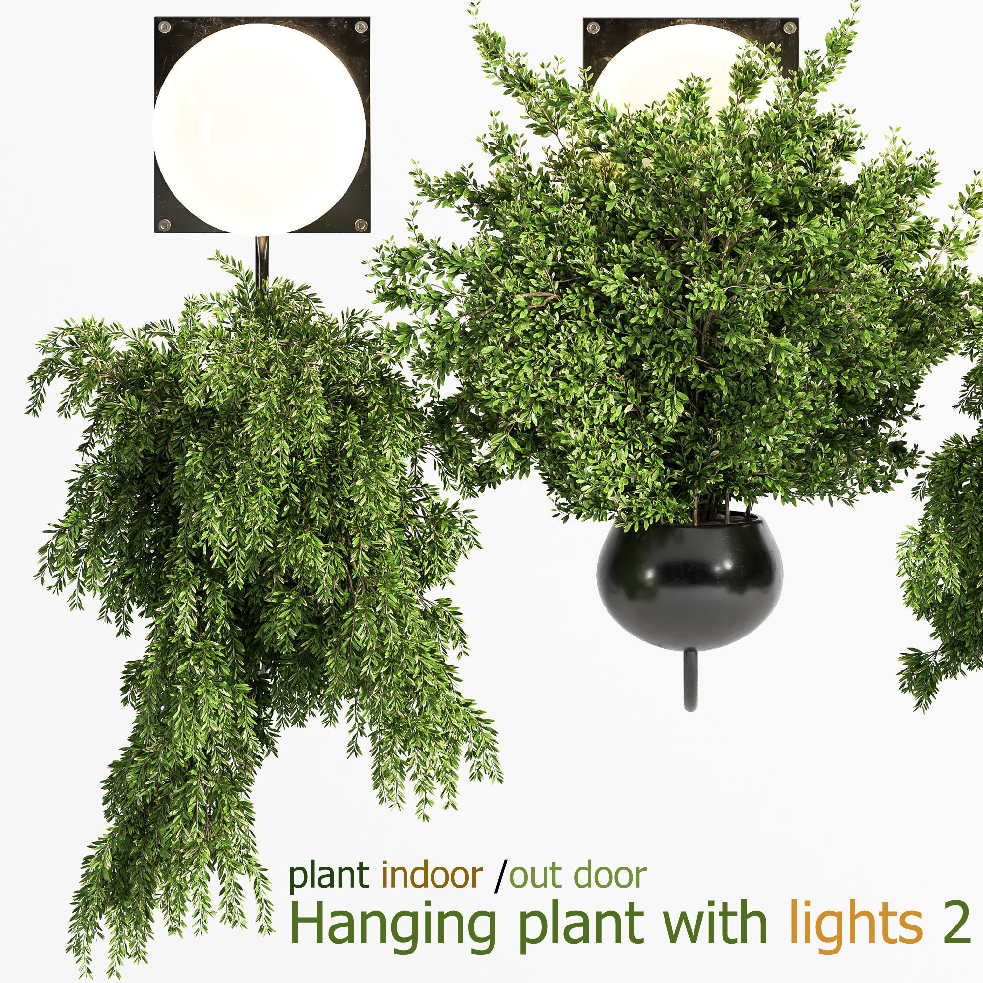 Hanging plant with lights02 3D model | CGTrader