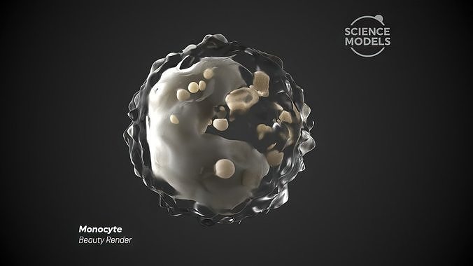 Monocyte Cell 3D model animated | CGTrader