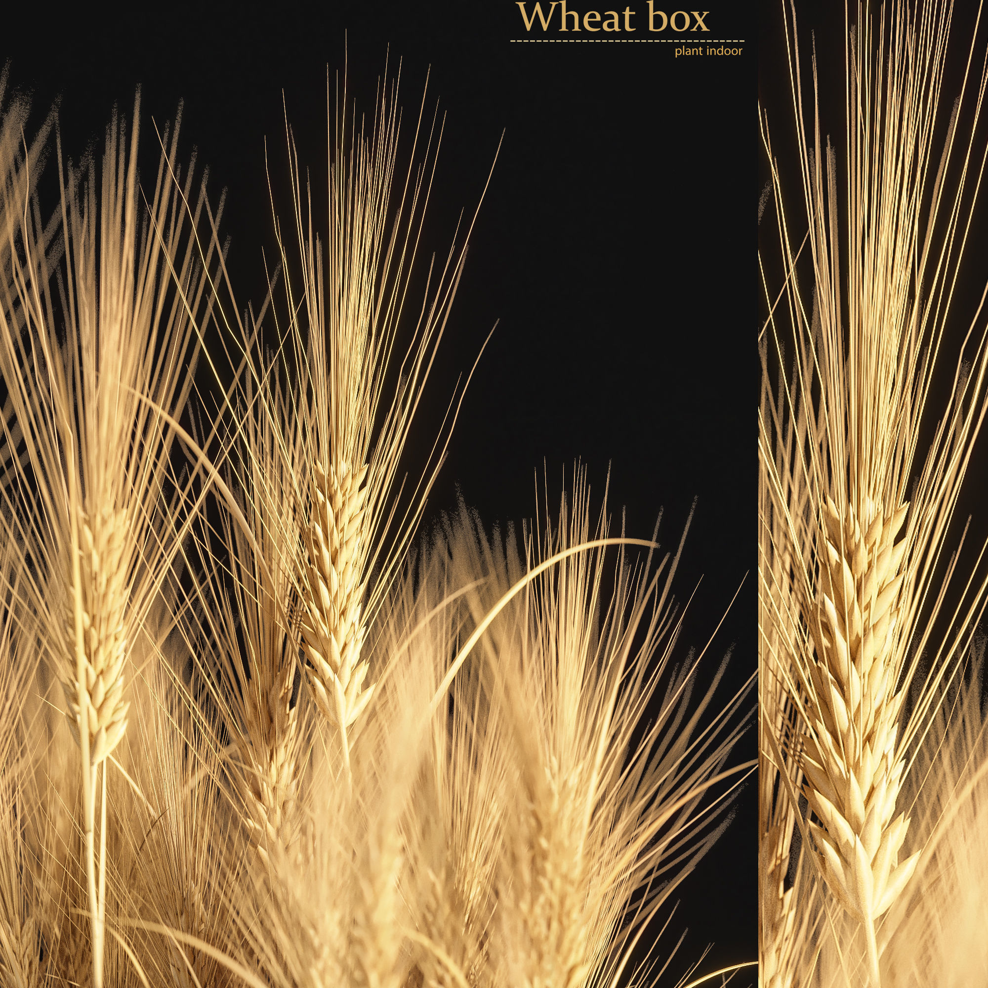 Wheat box 3D model | CGTrader