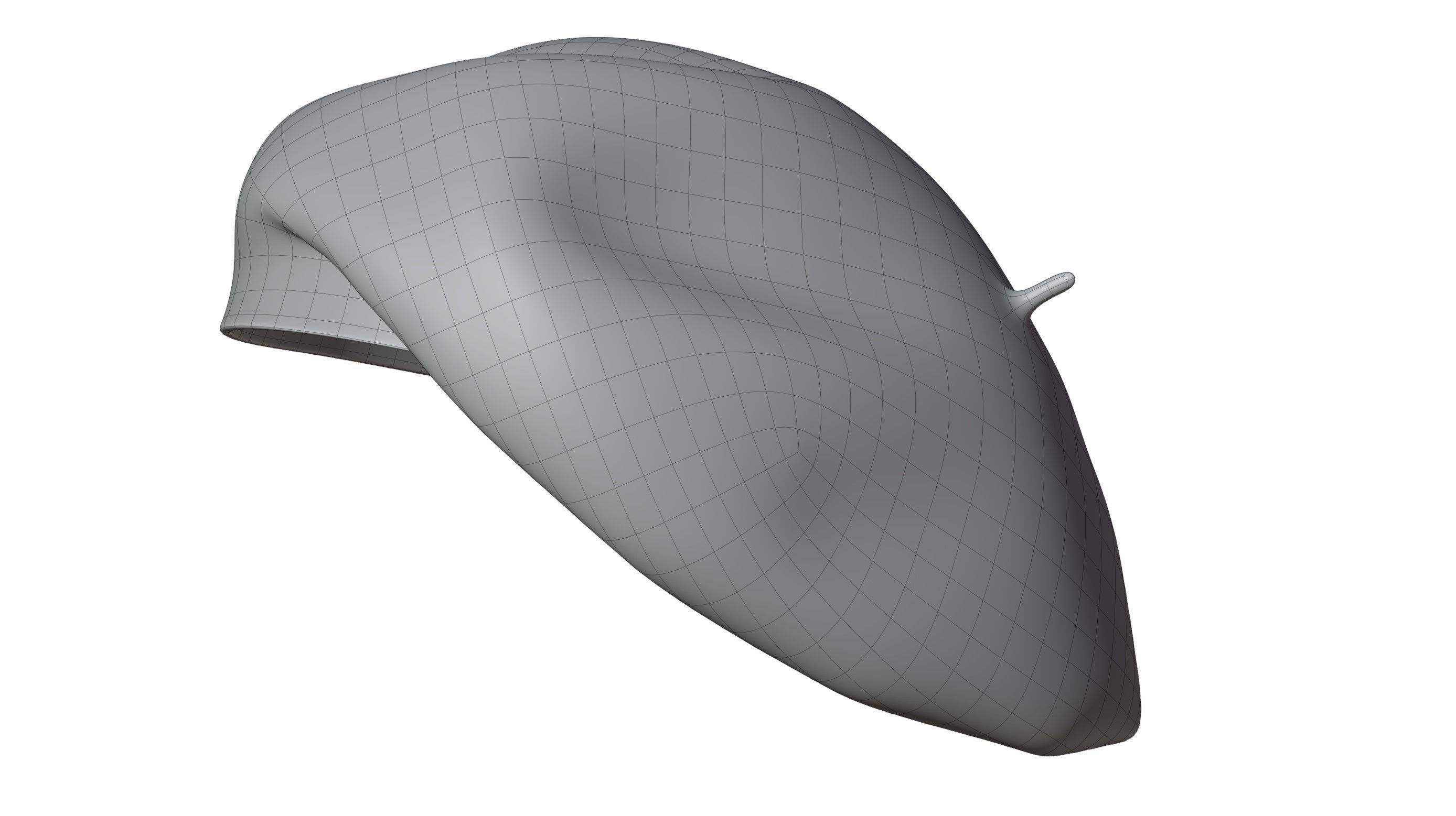 Wool Beret 3D model | CGTrader