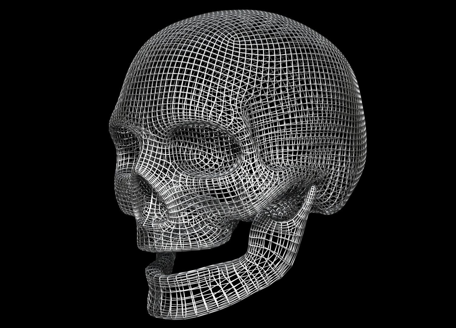 Skull Wire 3D model | CGTrader