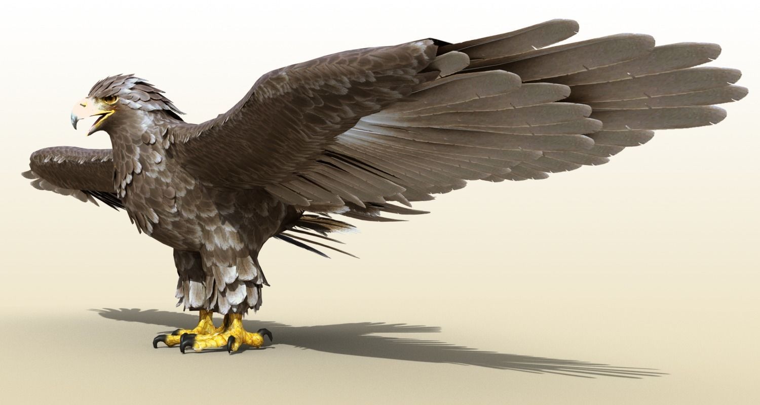 3D model Golden Eagle Realistic Rigged VR / AR / low-poly | CGTrader