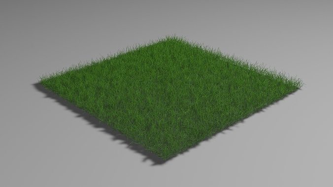 3D model Green Grass 3D Model VR / AR / low-poly | CGTrader