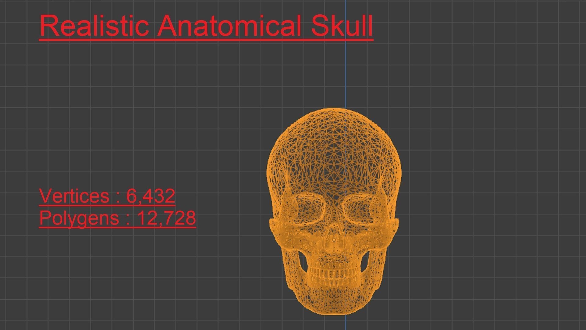 SKELETON 3D MODELS - AR - VR - GAME READY 3D model | CGTrader