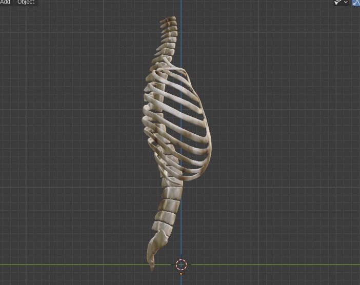 SKELETON 3D MODELS - AR - VR - GAME READY 3D model | CGTrader