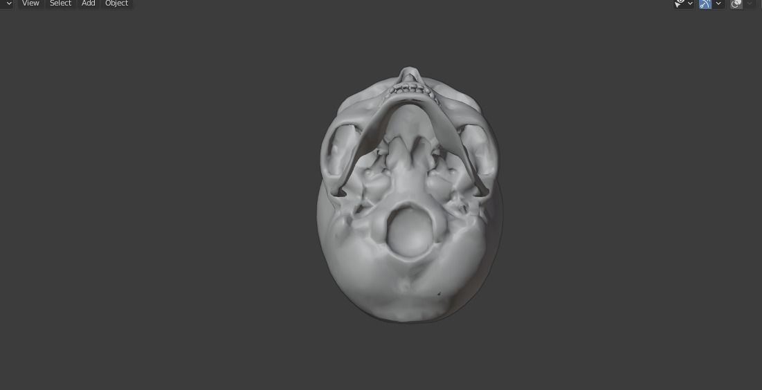 SKELETON 3D MODELS - AR - VR - GAME READY 3D model | CGTrader