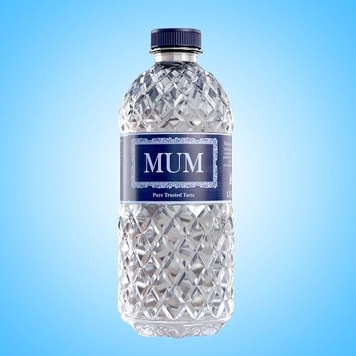 3D model Mum Water Bottle VR / AR / low-poly | CGTrader