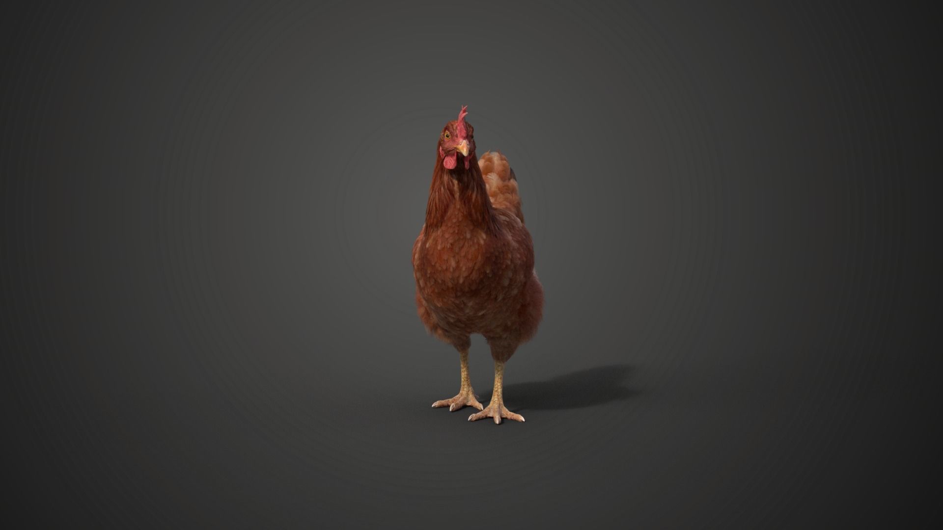 Red Hen Animated VFX Grace 3D model animated rigged | CGTrader