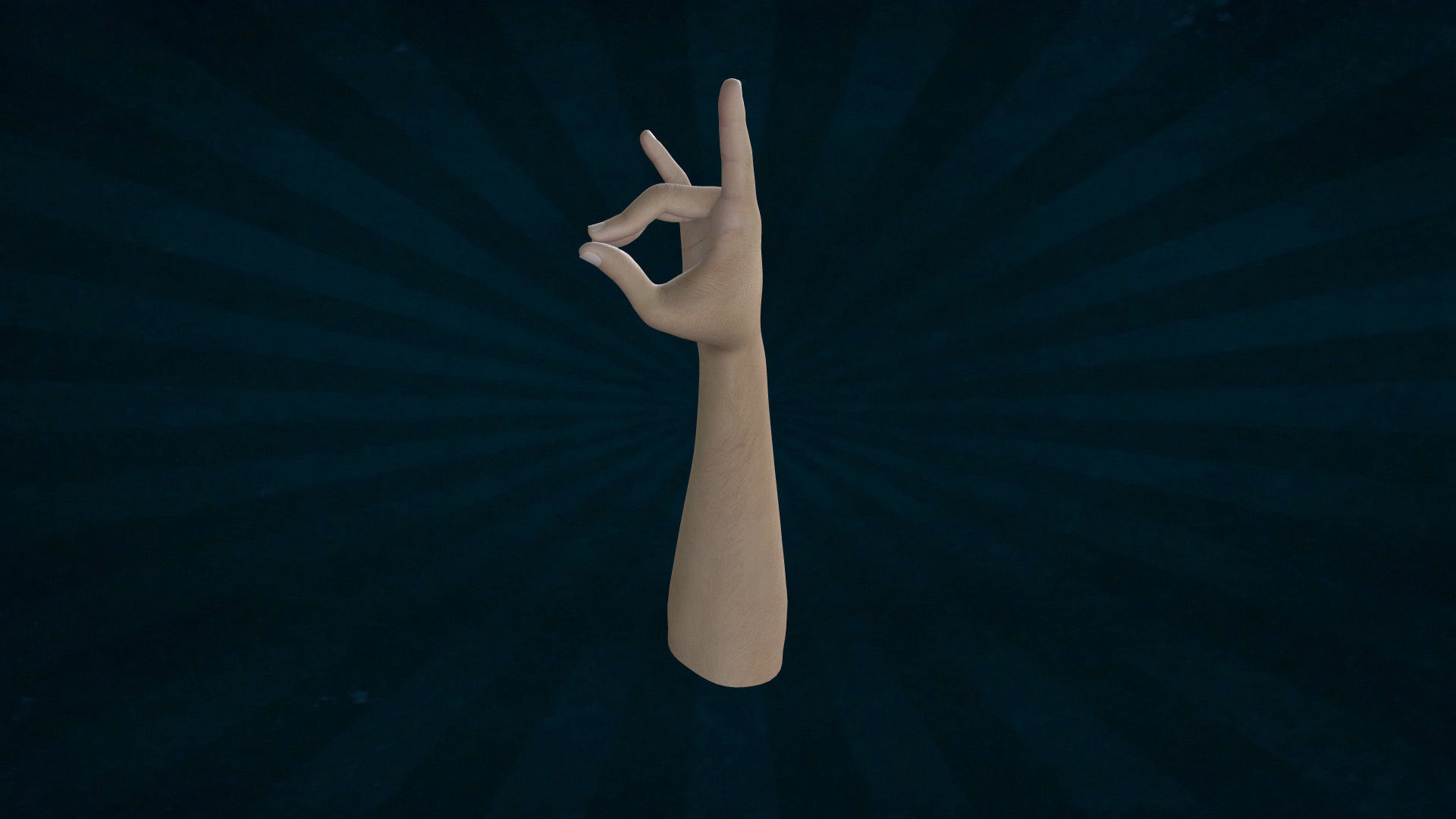 HAND-046 Hand Animation 3D model animated rigged | CGTrader