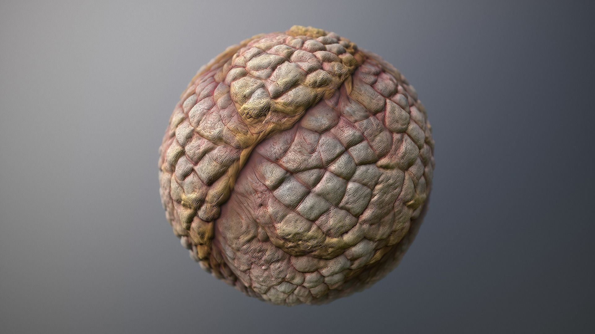 Material Skin Monster 52 Seamless PBR Texture Texture | CGTrader