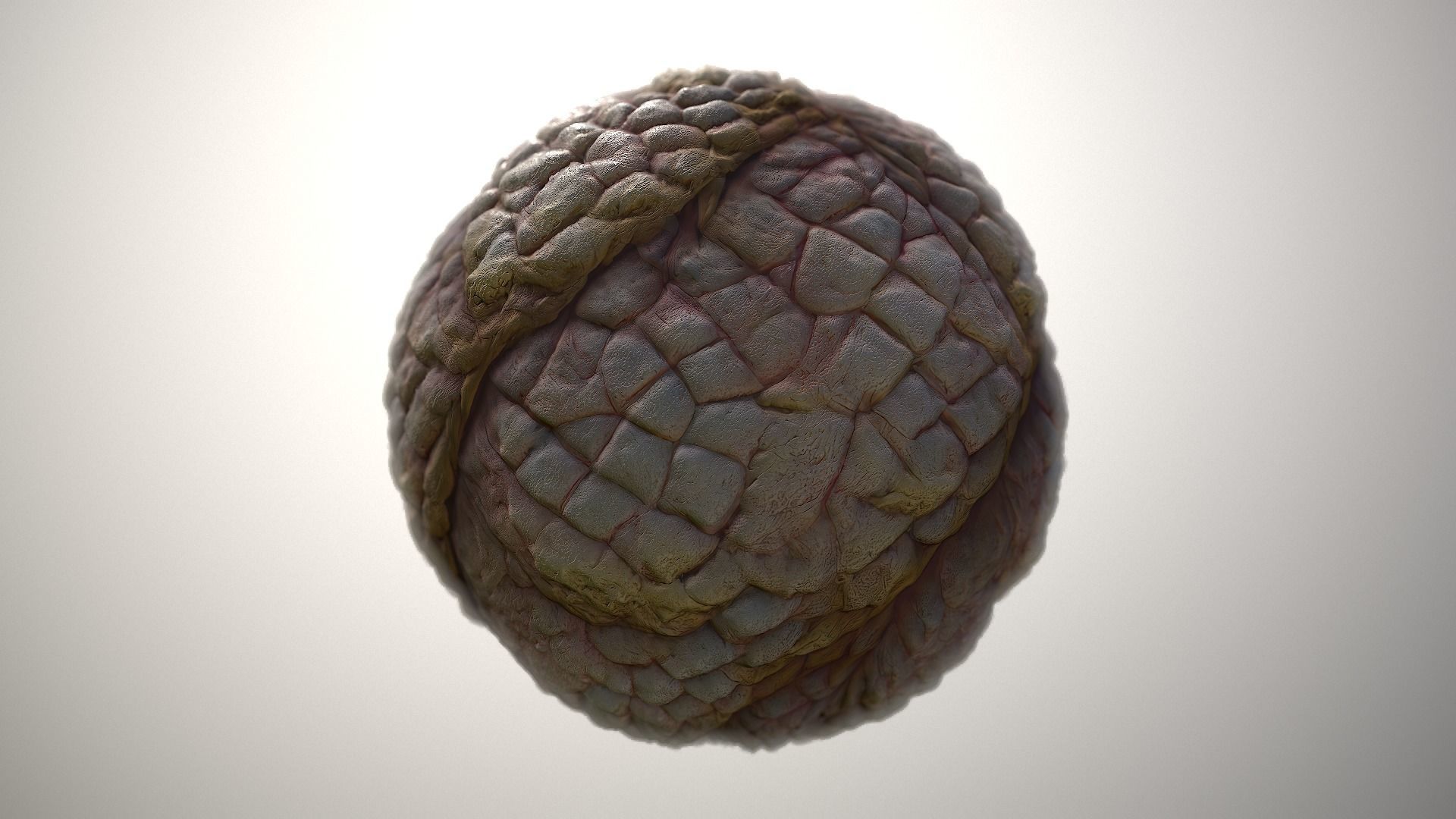 Material Skin Monster 52 Seamless PBR Texture Texture | CGTrader