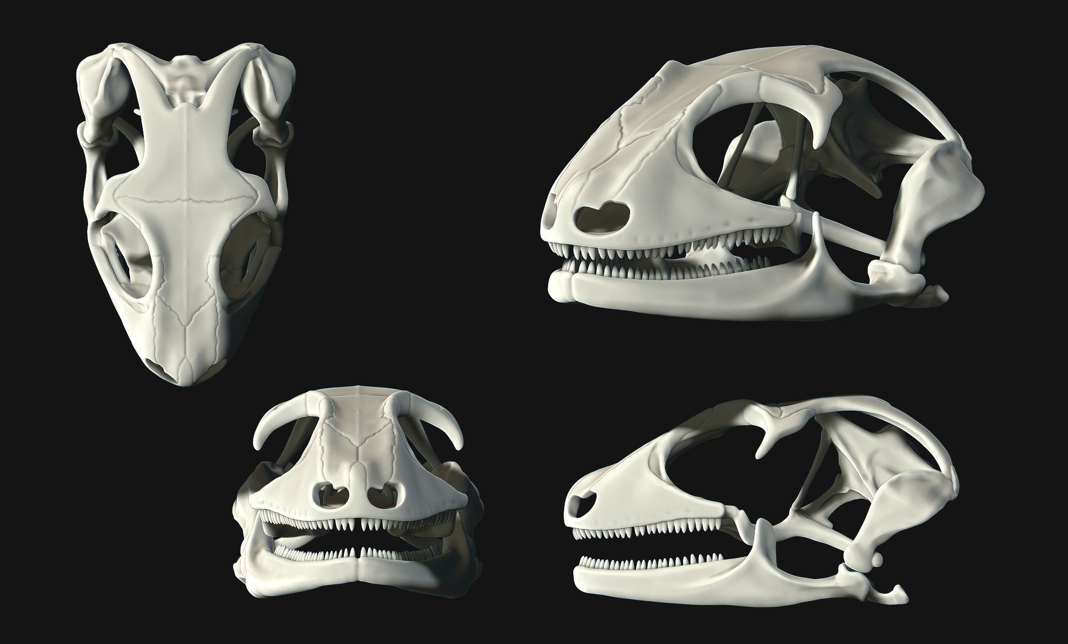 Gecko Skull - CNC and 3D model 3D printable | CGTrader