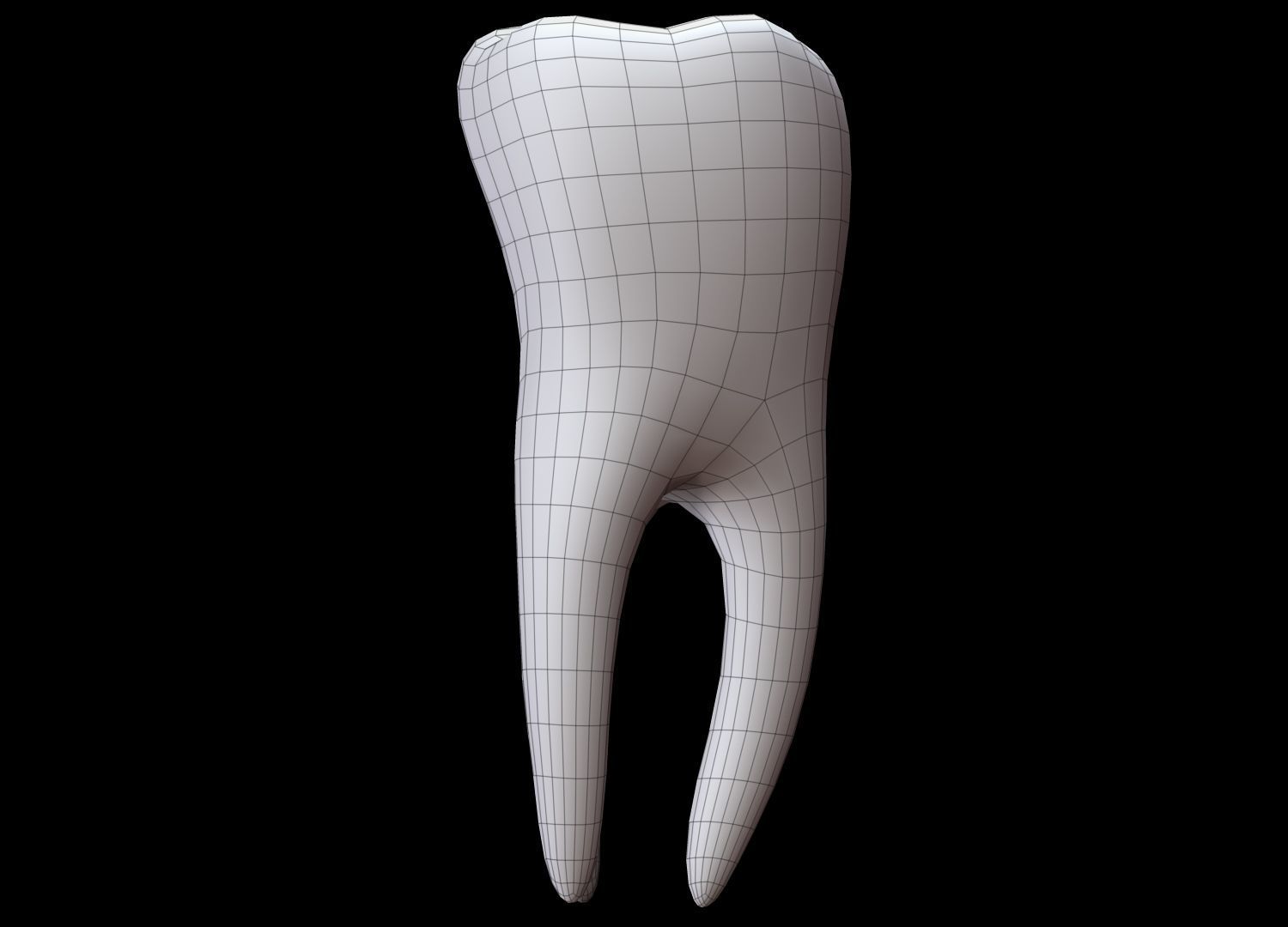 Tooth 3D model | CGTrader