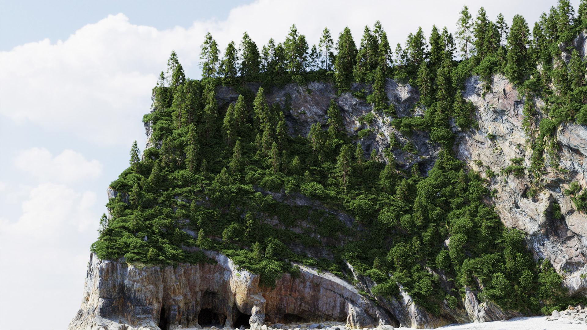 3D model Forest Biome for Scatter 5 Blender VR / AR / low-poly | CGTrader