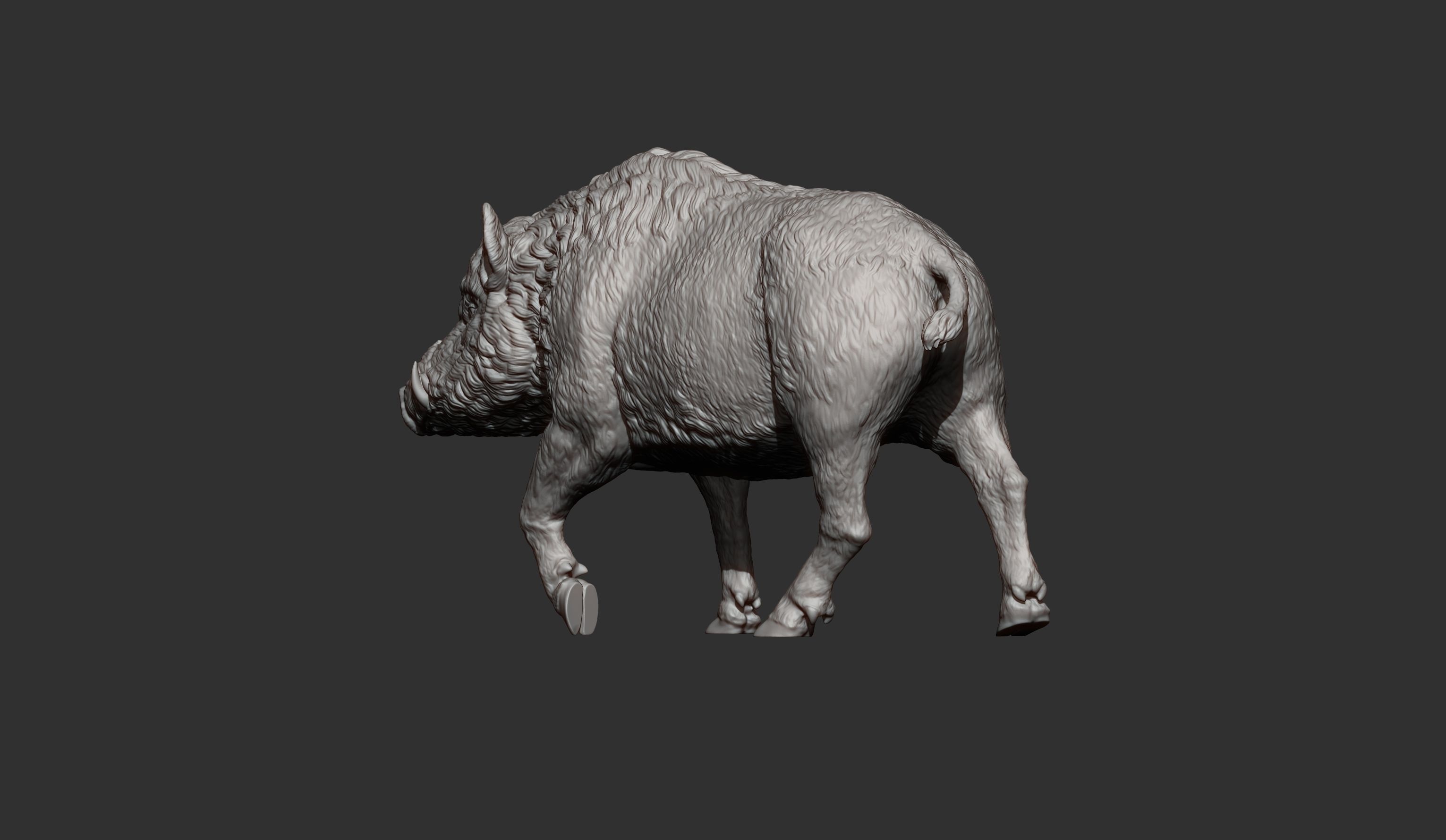 A wild boar 3D model 3D printable | CGTrader
